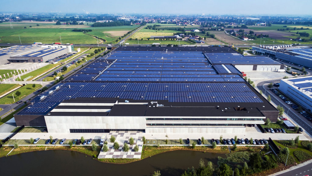 Respect for Nature Ragolle Rugs